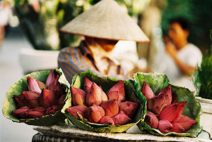 Featured flowers of Hanoi by month - Experience elegant Hanoi | Hanoi ...